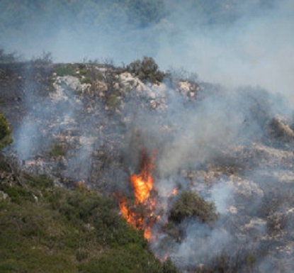 Campagne de prévention des feux de forêt et de végétation | DRAAF PACA